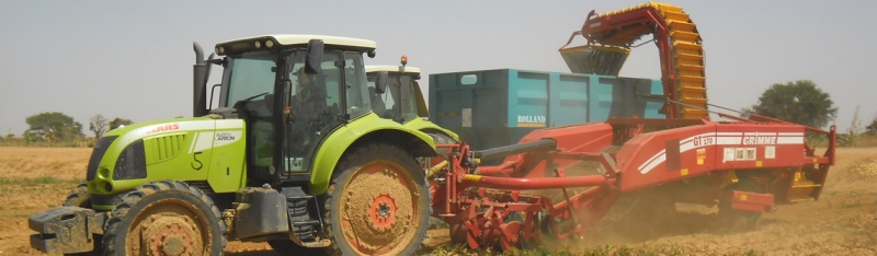 ICS in Mali, the best partner for successful projects in agriculture