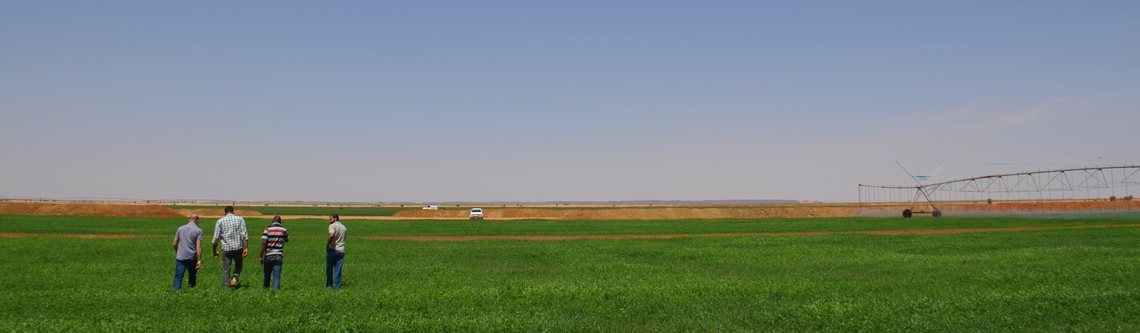 ICS, partner of large farming projects in Africa