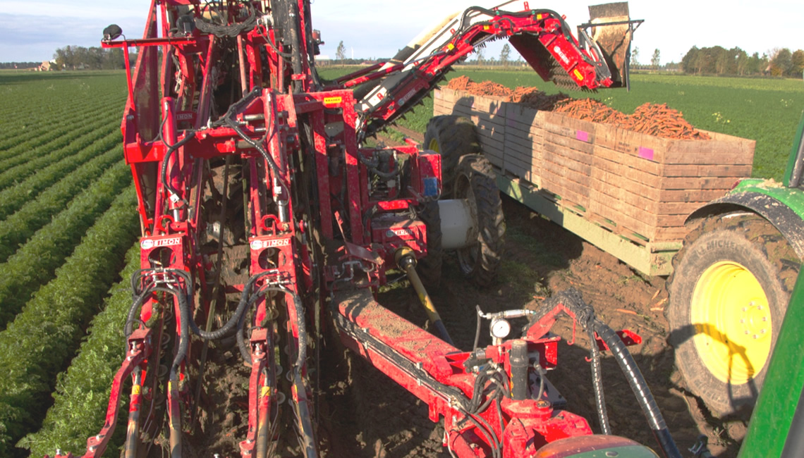 Carrot Harvester Grimme Carrot Harvester In Action