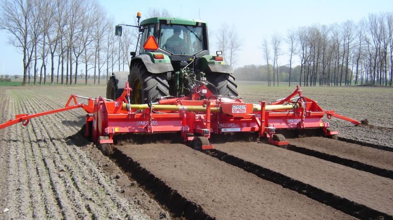 Culture de la Carotte Afrique Moyen-Orient - Expertise ICS