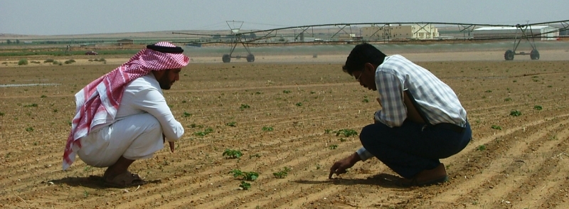 Saudi Arabia: Seeds, Crops, Farming machinery