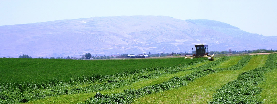 ICS, your partner in Lebanon for agricultural projects