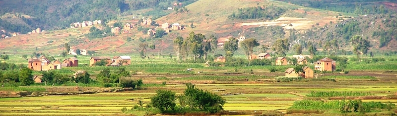 ICS in Madagascar - successful farming