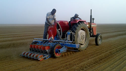 Successful crop planting for highly profitable farming Africa & Middle East
