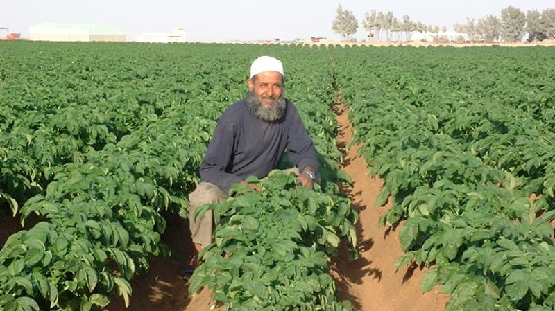 ICS: expertise + machines for successful Potato crop management